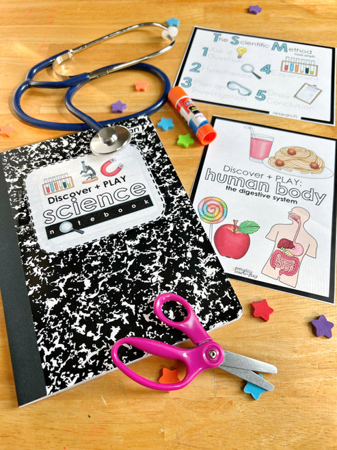 Discover + PLAY: Human Body- Digestive System – Everyday Learn + PLAY